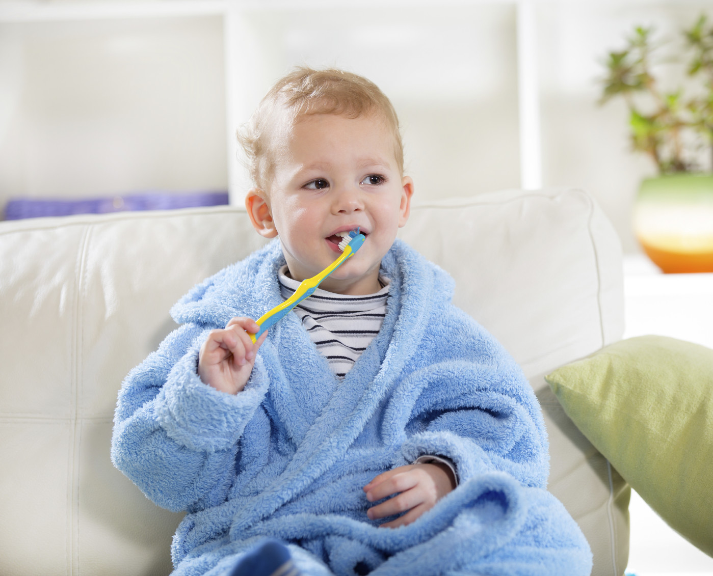Stages of A Child's Teeth Development - Potomac Pediatric Dentistry
